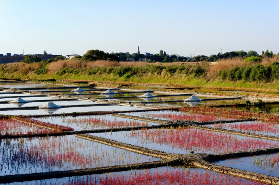 Visiter Guérande : quelles sont les principales attractions à visiter à ...